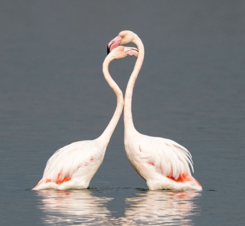 SheSez - A woman’s quest to learn to live better